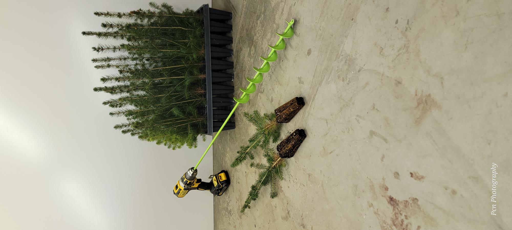 - Plug Planter #OPP2